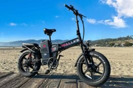 Ride The Jasion RetroVolt: Vintage E-Bike Review 2025