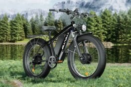 2025 WINDONE E2 Electric Bike Full Review - GoEBikeLife