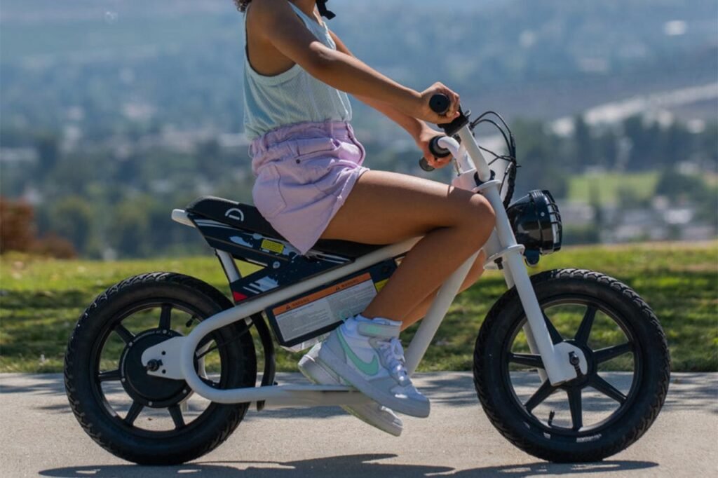 Droyd Weeler Electric Mini Bike Review (2025) - GoEBikeLife